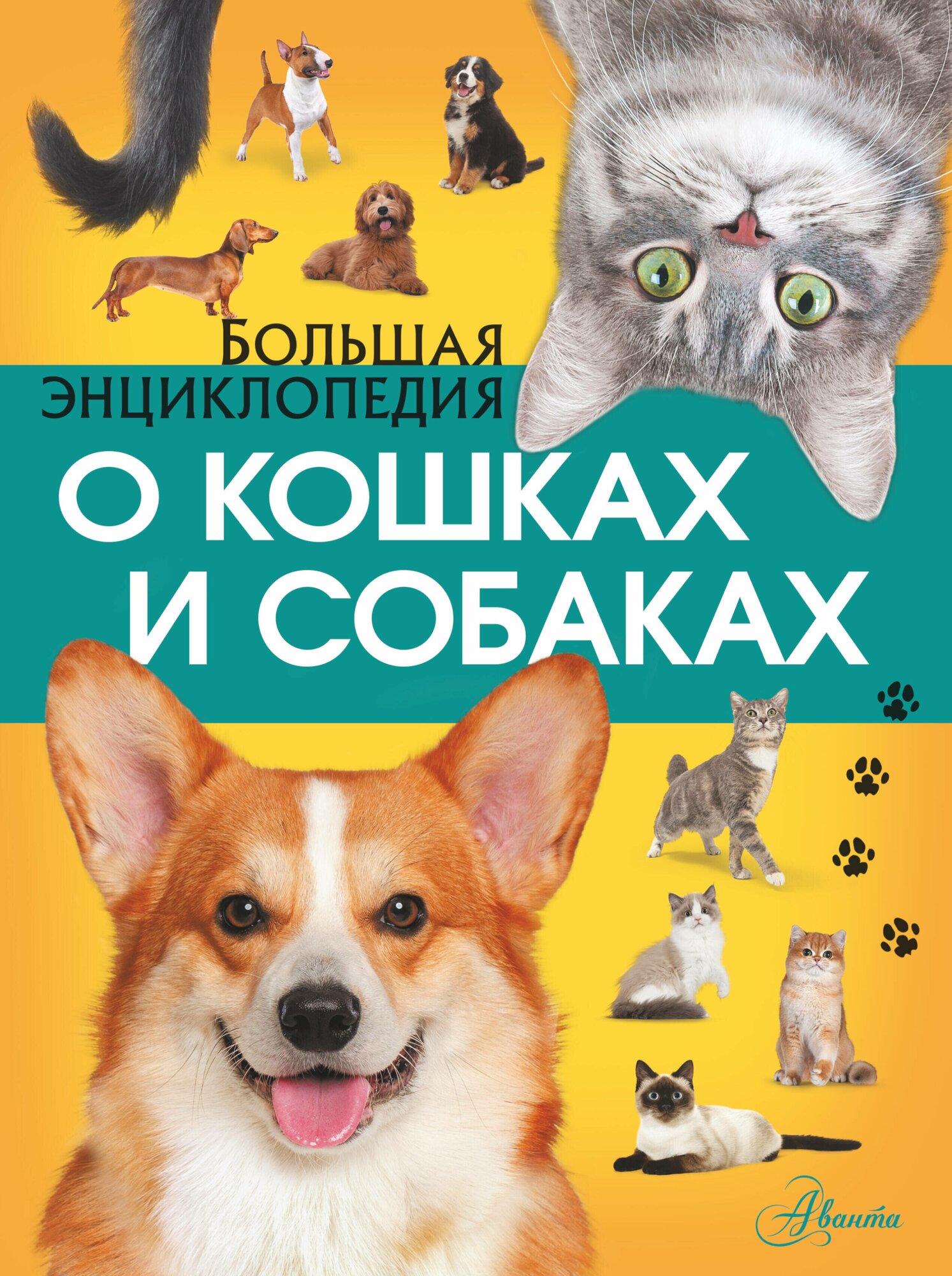 Большая энциклопедия о кошках и собаках