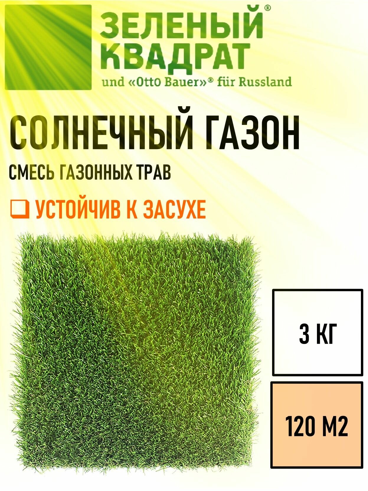 Семена газона 3 шт. Зеленый Квадрат солнечный 1 кг, для создания газона в засушливых местах