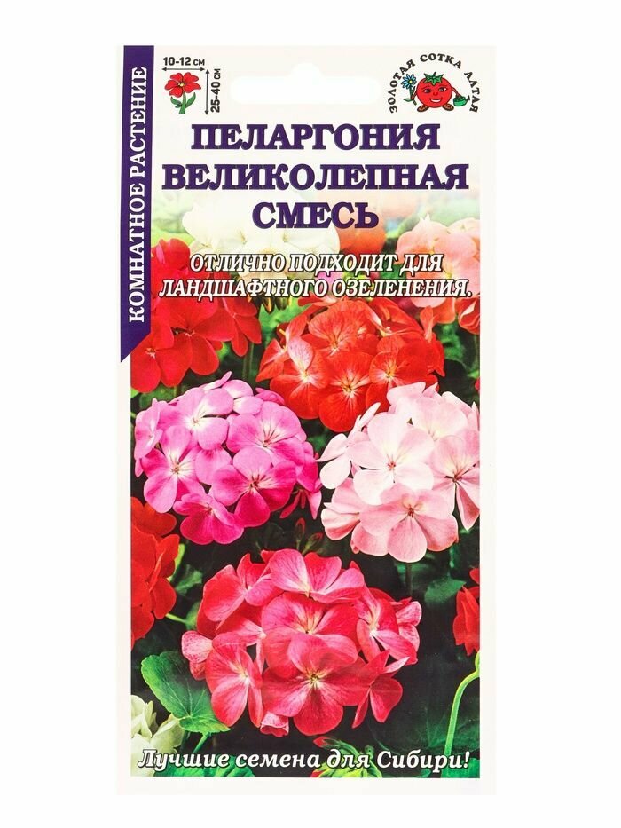 Семена комнатных цветов Пеларгония Великолепная , смесь, 3 семечки , Золотая Сотка Алтая