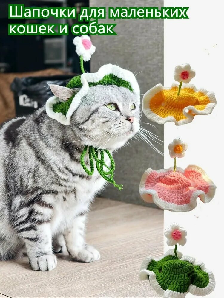 Вязаные шапочки для кошек и собак