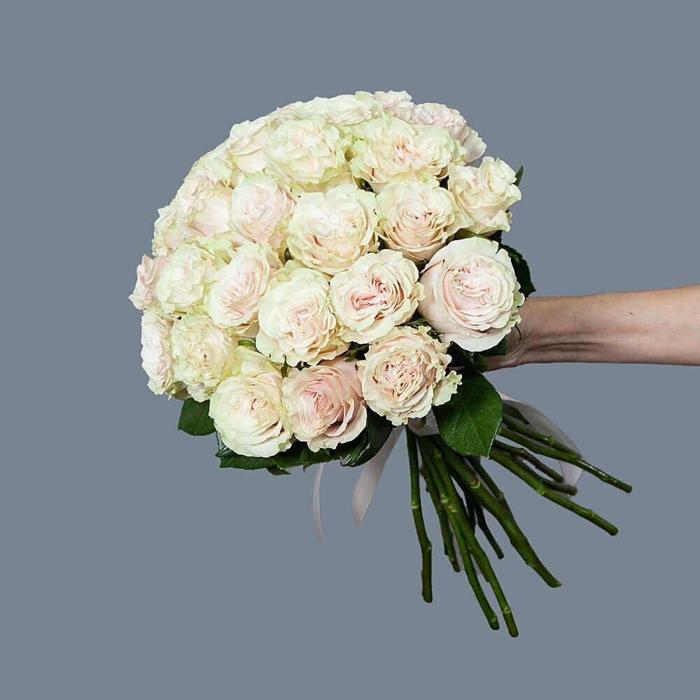 Монобукет 25 Роз "Pink Mondial" под ленту, Эквадор “Premium”