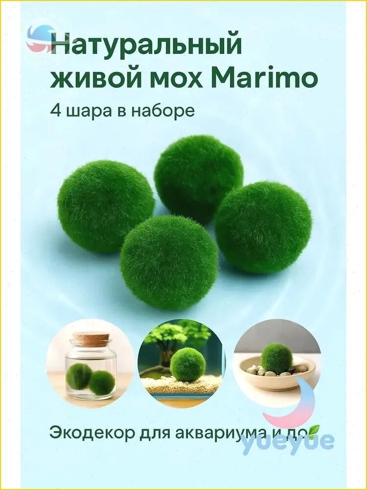 Декорация для аквариума/террариума