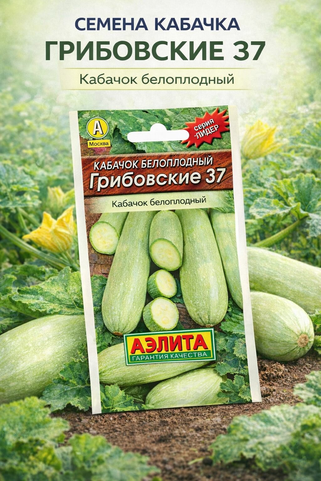 Семена кабачка Грибовские 37, белоплодный кабачок, семена овощей для огорода