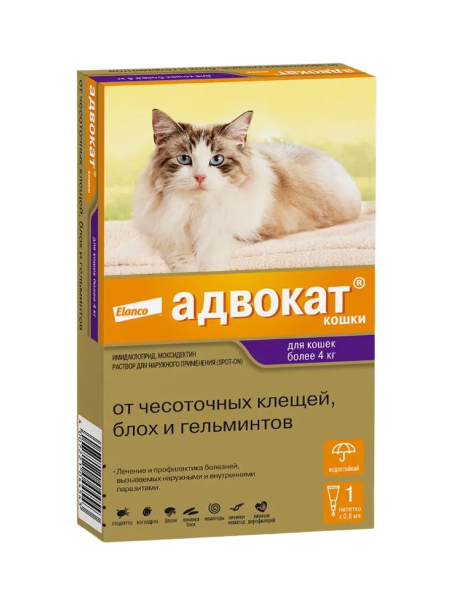 Адвокат кошки, капли на холку от блох, для кошек весом более 4 кг. 1 пипетка в упаковке