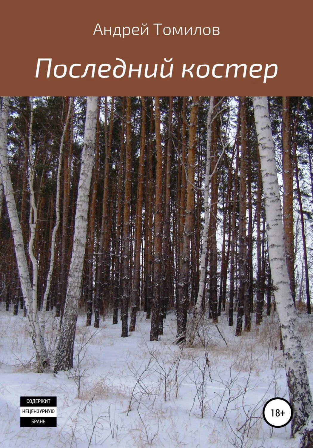 Последний костер [Цифровая книга]