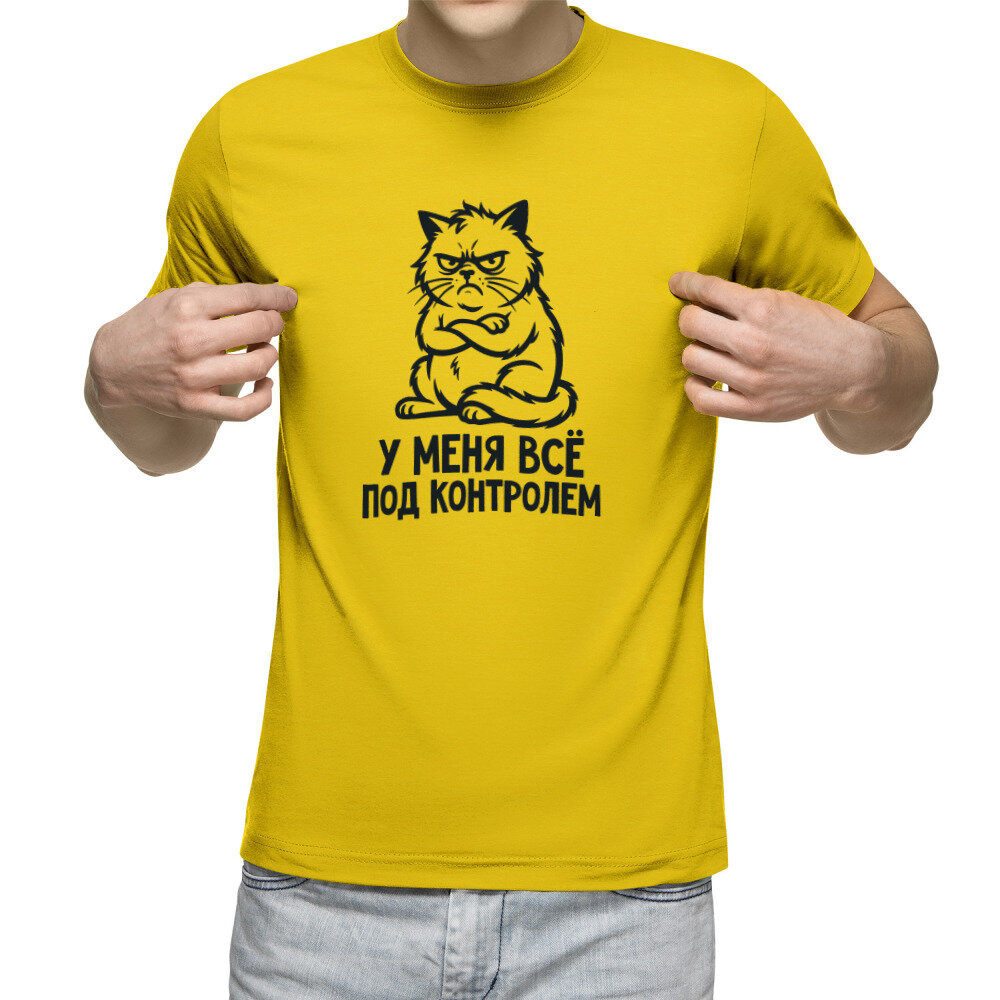 Мужская футболка «Все под контролем, офисный юмор» (желтый, 2XL)