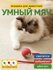 Мяч для кошек