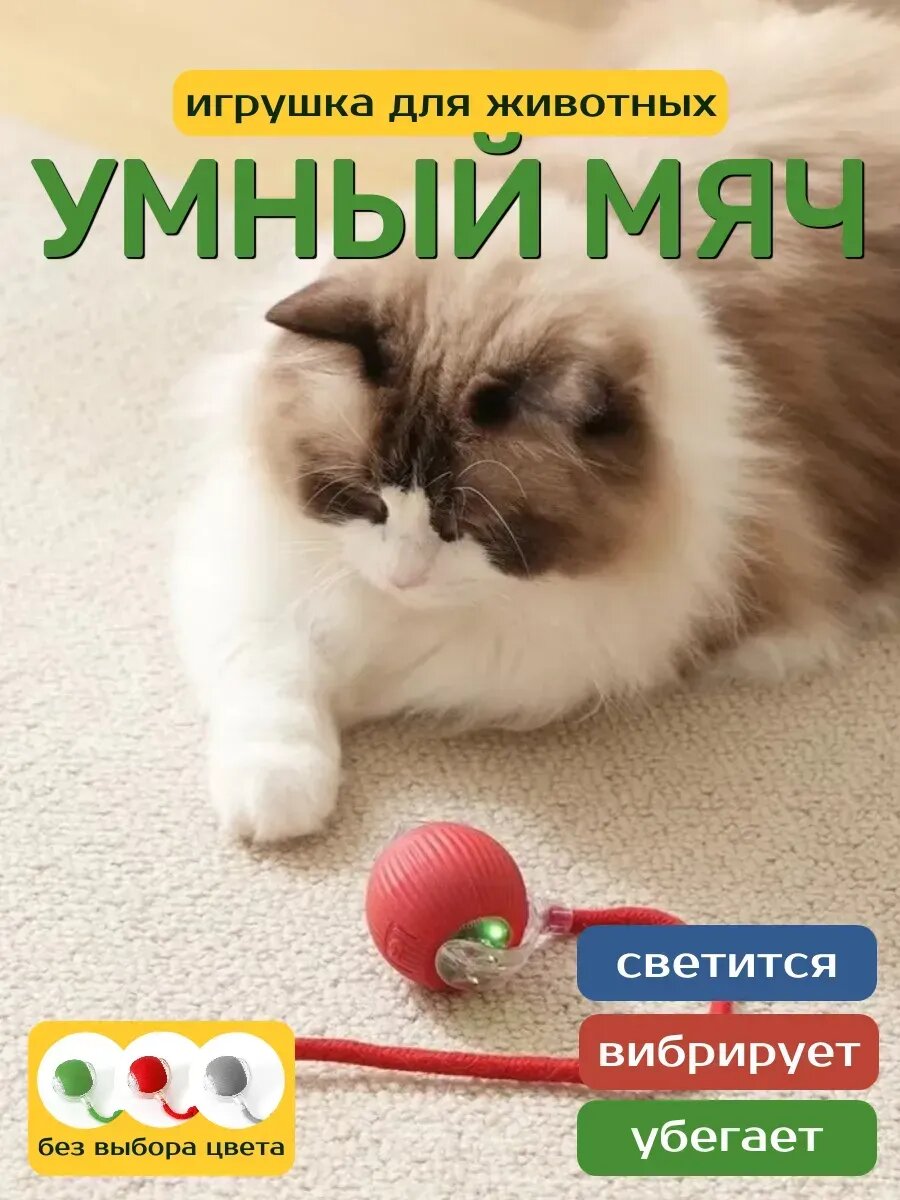 Мяч для кошек