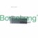 BORSEHUNG B10880 Интеркулер