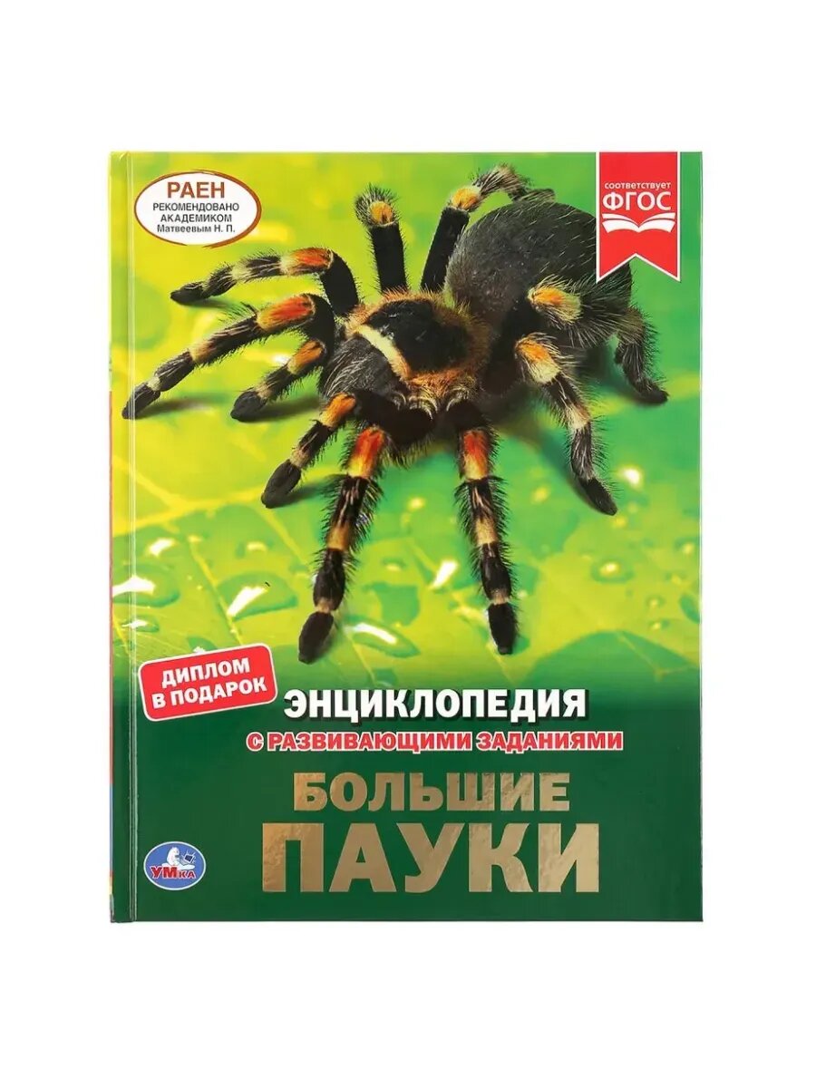 Энциклопедия. Большие пауки