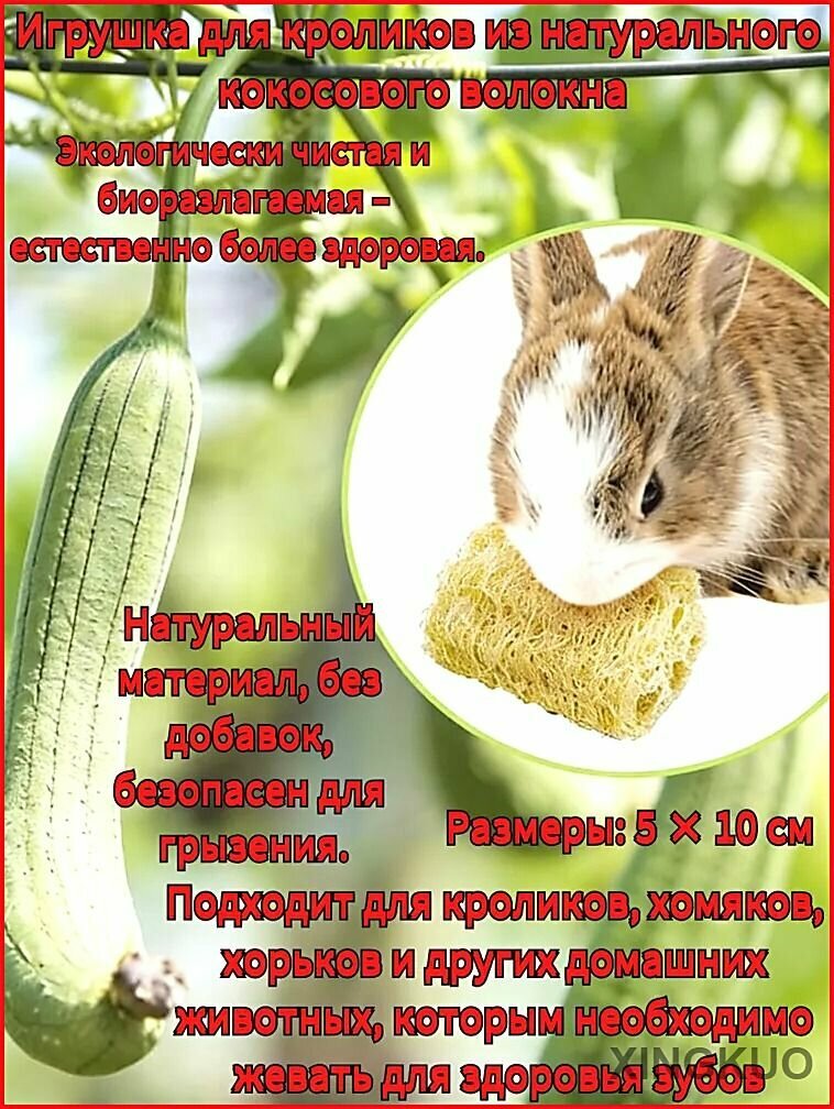 Игрушка для жевания для домашних животных: изготовлена из натурального кокосового волокна, подходит для кроликов, хомяков, морских свинок, морских свинок и песчанок. Способствует здоровью зубов.