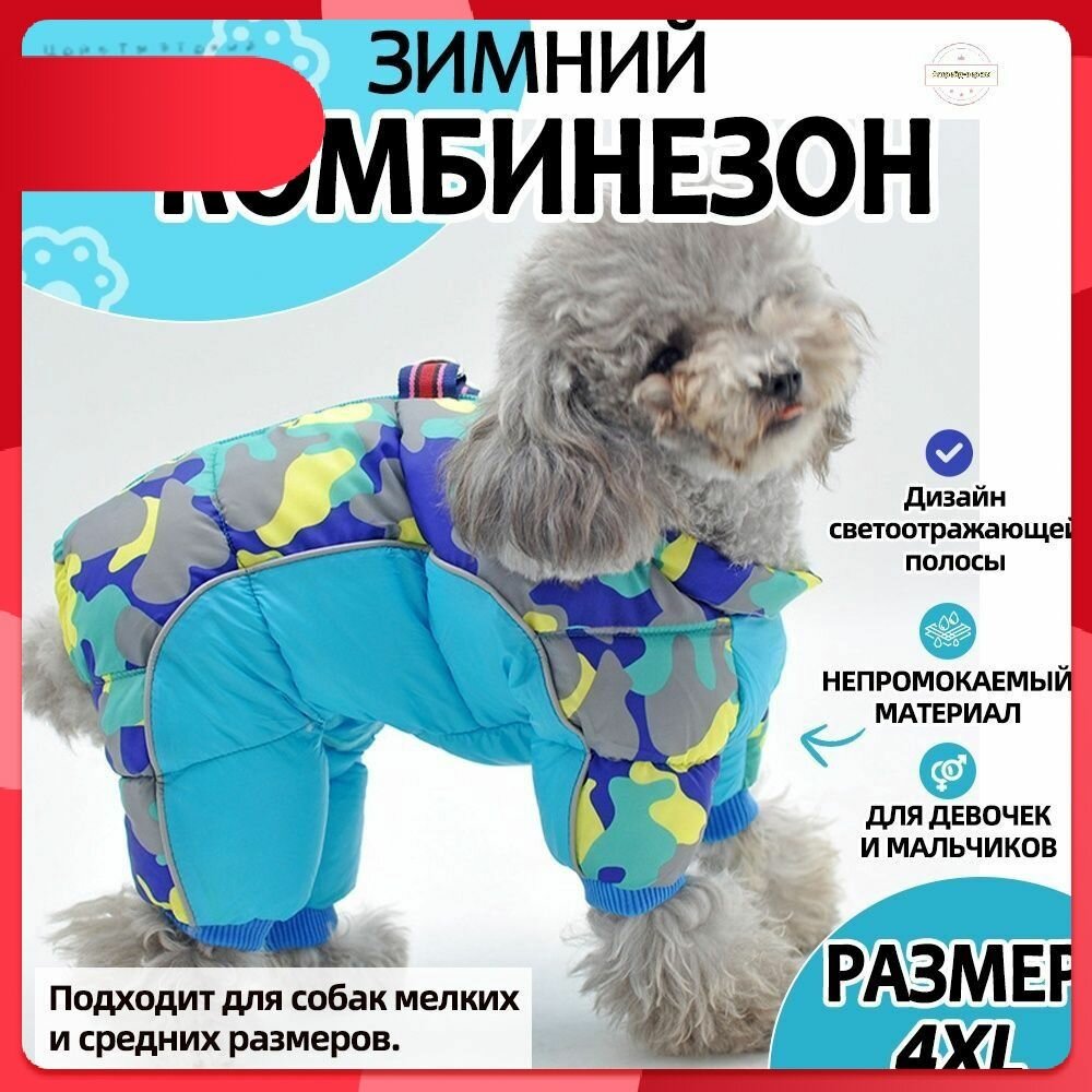 Эксклюзивный зимний наряд для кобелей мелких и средних габаритов
