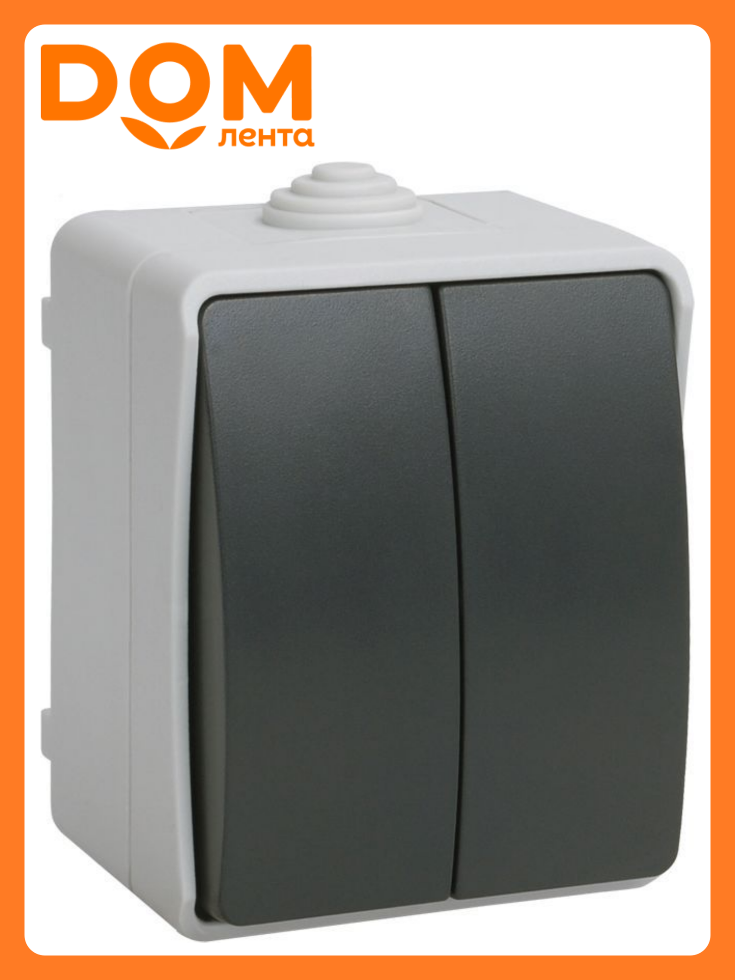 Форс Выкл. 2-кл. о/у IP54 ВС20-2-0-ФСр сер. IEK