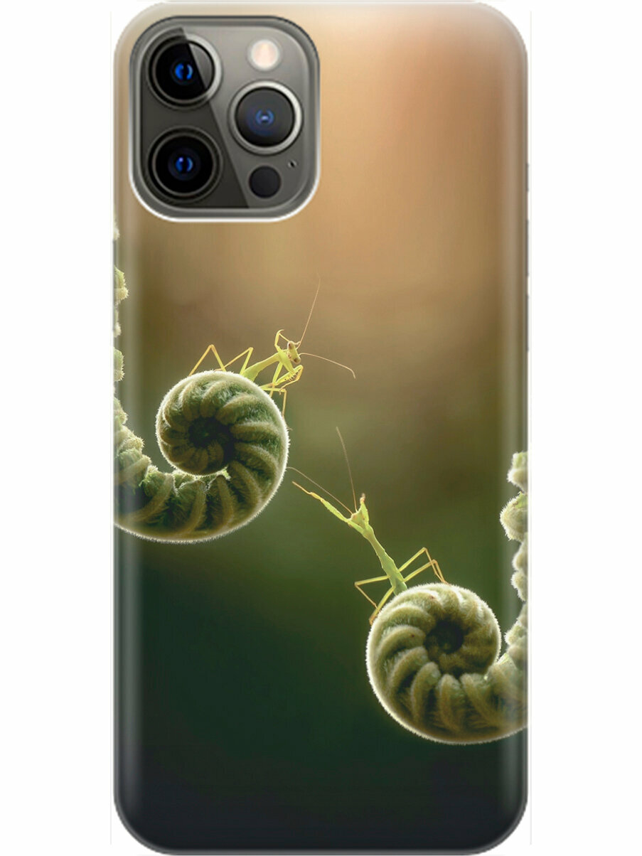 Силиконовый чехол на Apple iPhone 12 Pro Max / Эпл Айфон 12 Про Макс с рисунком "Пара богомолов"