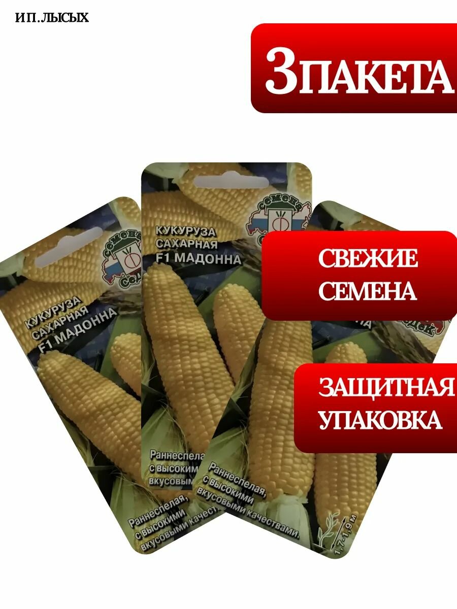 Семена Кукуруза "Мадонна"