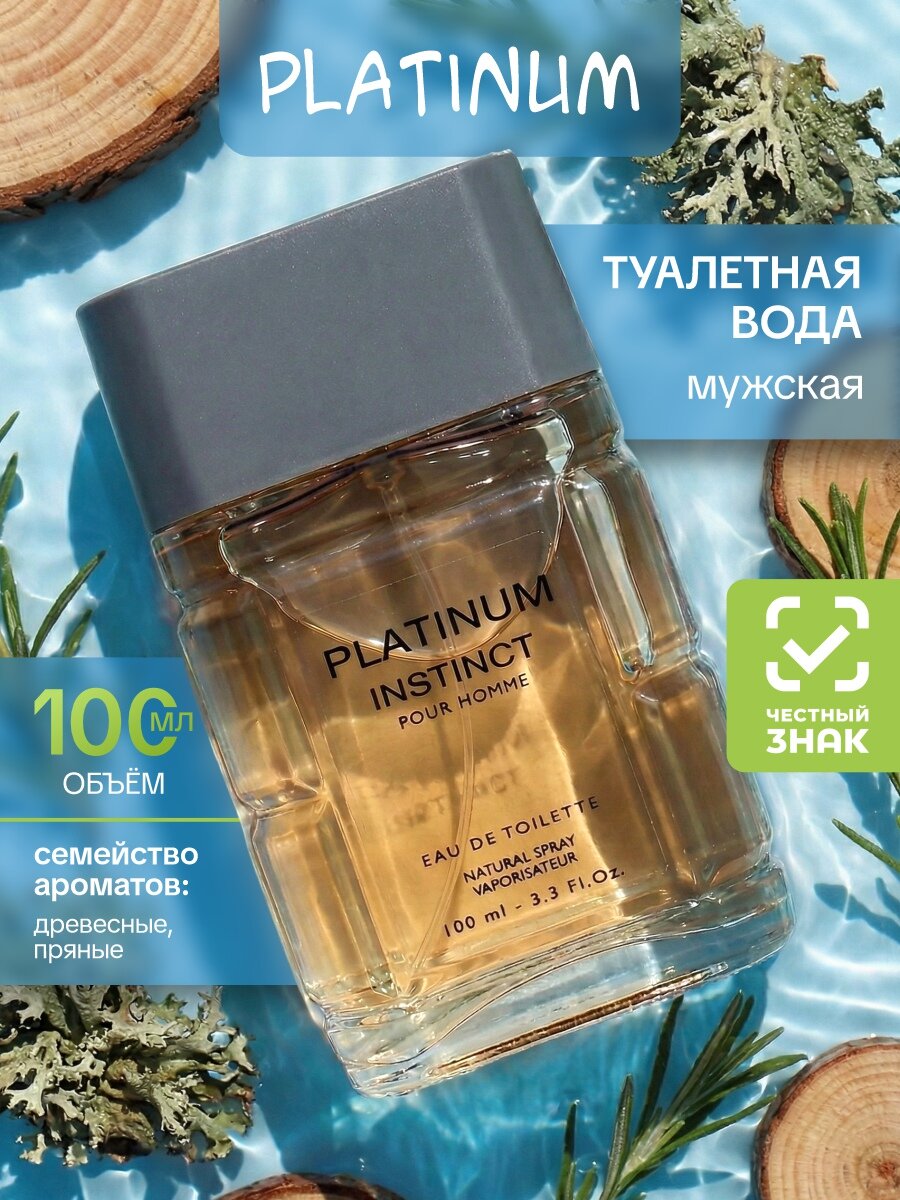 Туалетная вода мужская Andre Renoir Instinct Platinum Эгоист Платинум Шанель100мл