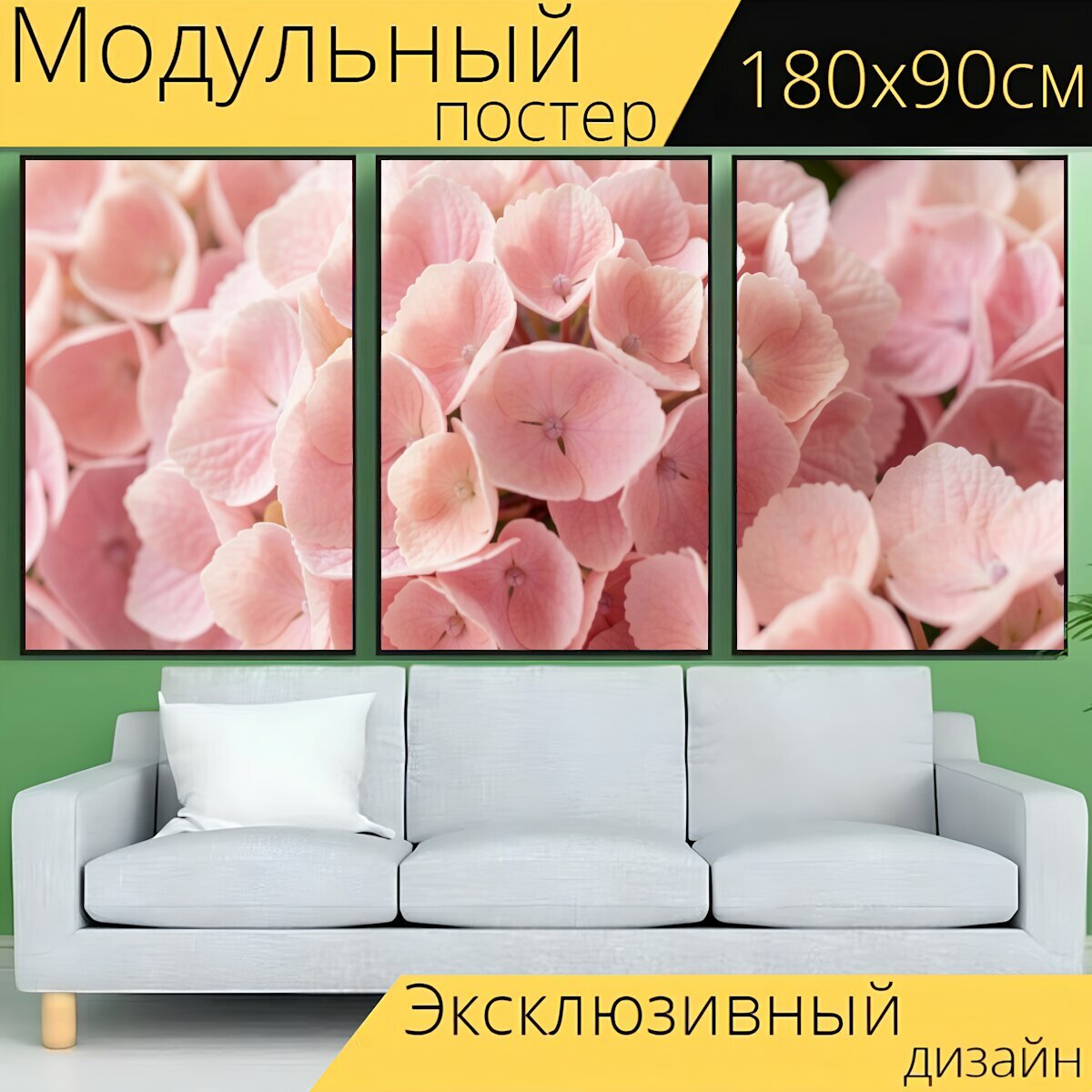 Модульный постер "Нежные розовые соцветия гортензии. Пышные пастельно-розовые цветочные шапки с мягкими лепестками, макро-ракурс." 180 x 90 см. для интерьера на стену в тубусе