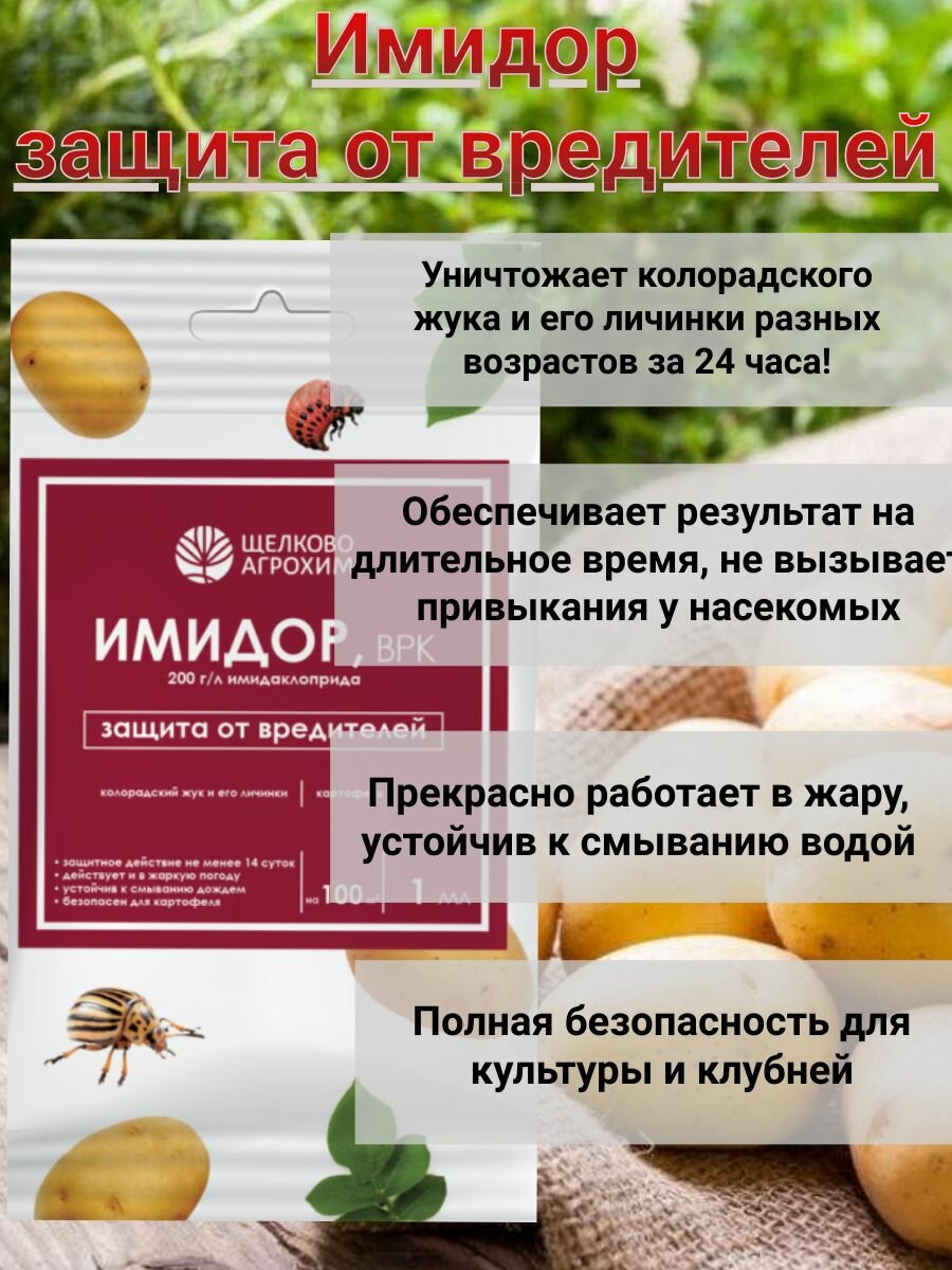 Инсектицид "Имидор" Щелково, для борьбы с колорадским жуком и его личинками,1мл