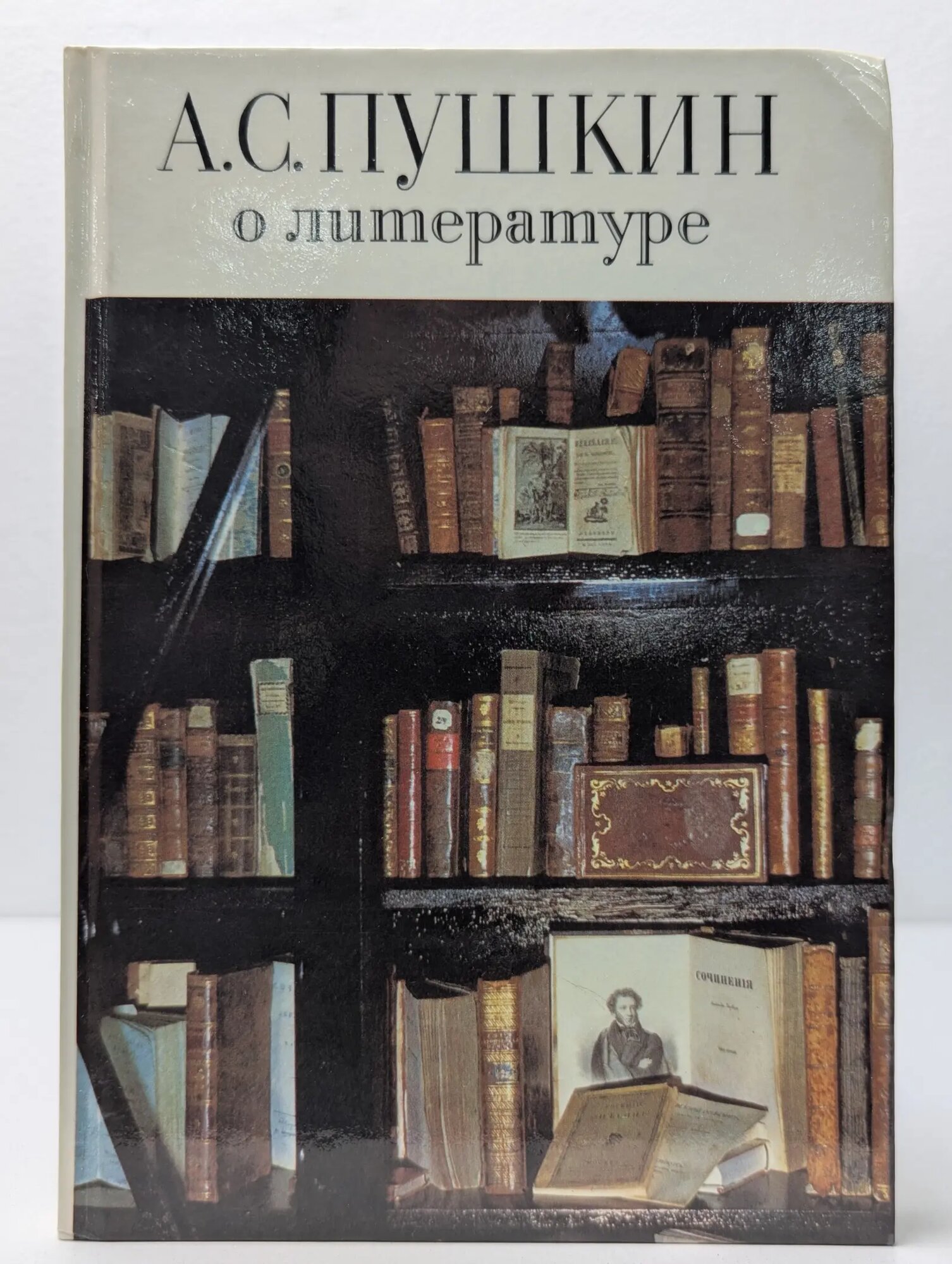 А. С. Пушкин о литературе Пушкин Александр Сергеевич 1988