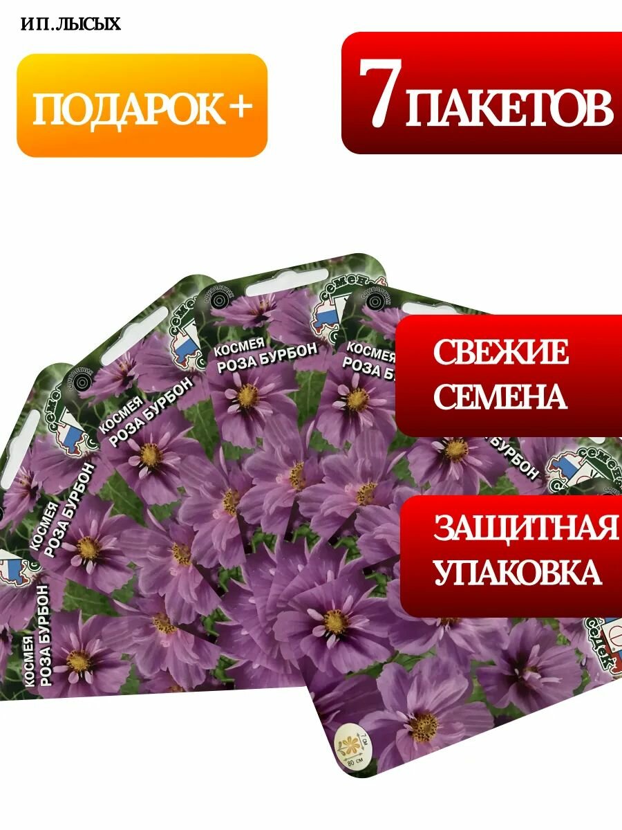 Семена Космея "Роза Бурбон"