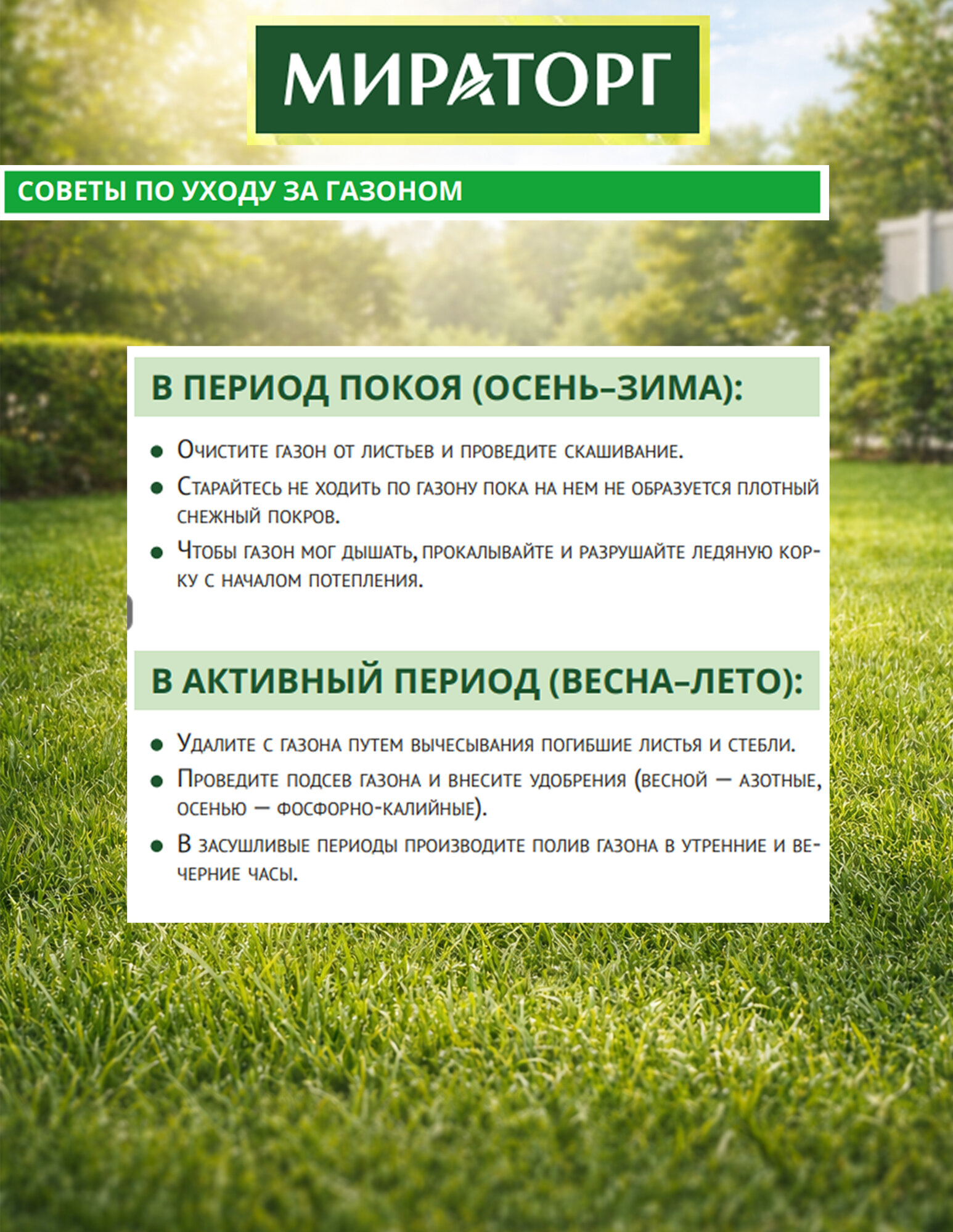 Газон Игровой Мираторг — фото 1