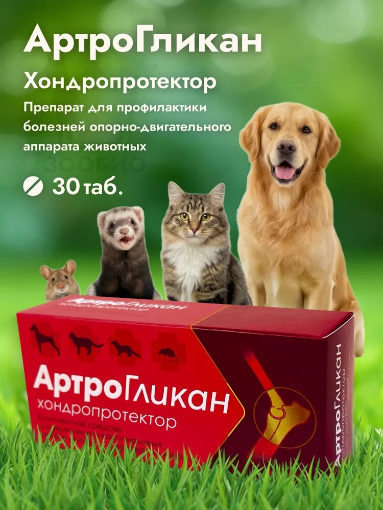 Артрогликан для собак /Хондропротектор для животных /Кормовая добавка для суставов и лакомство
