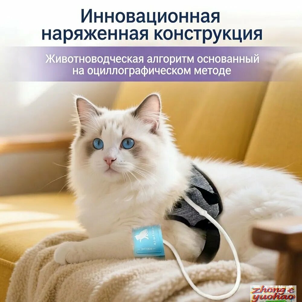 Ветеринарный тонометр — фото 1