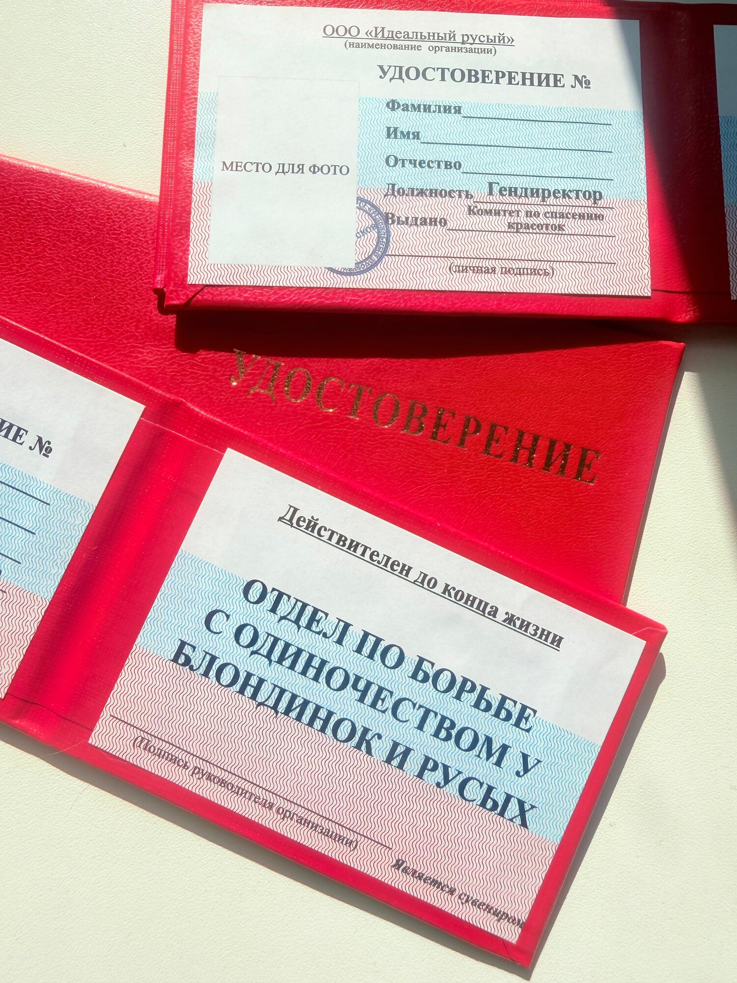 Удостоверение сувенирное ксива отдел по борьбе с одиночеством у блондинок и русых