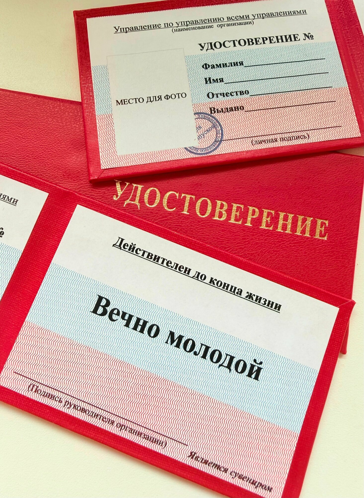 Удостоверение сувенирное ксива Вечно молодой