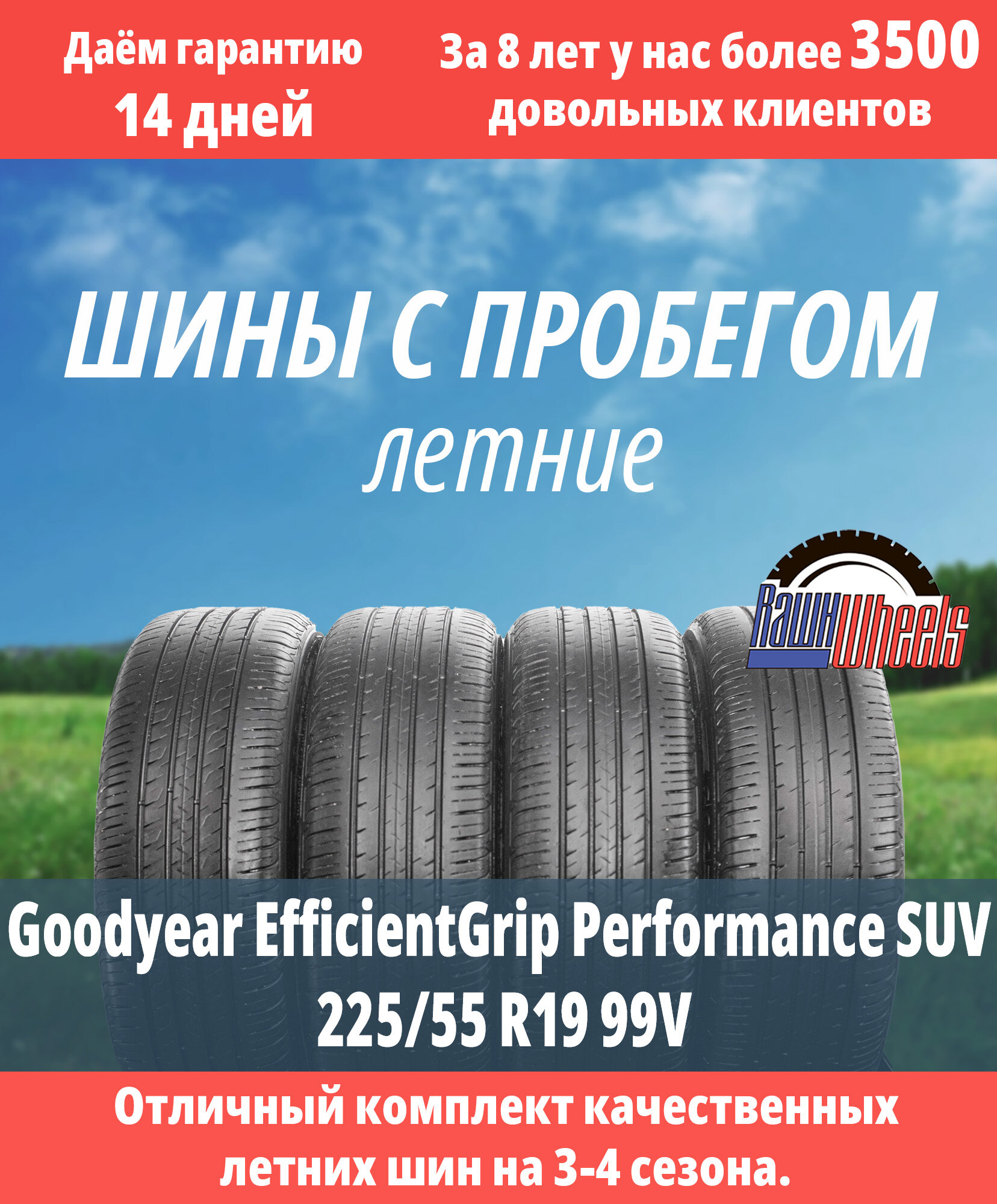 Goodyear EfficientGrip Performance SUV 225/55 R19 99V