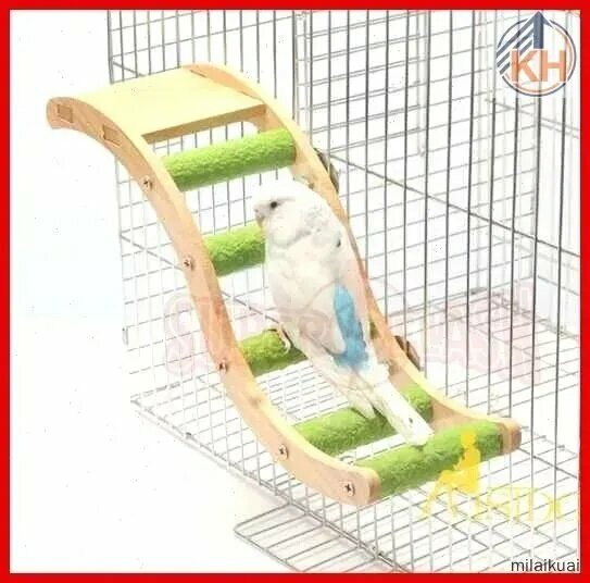 Лесенка для птиц, Игрушки для попугаев, мороженые палочки