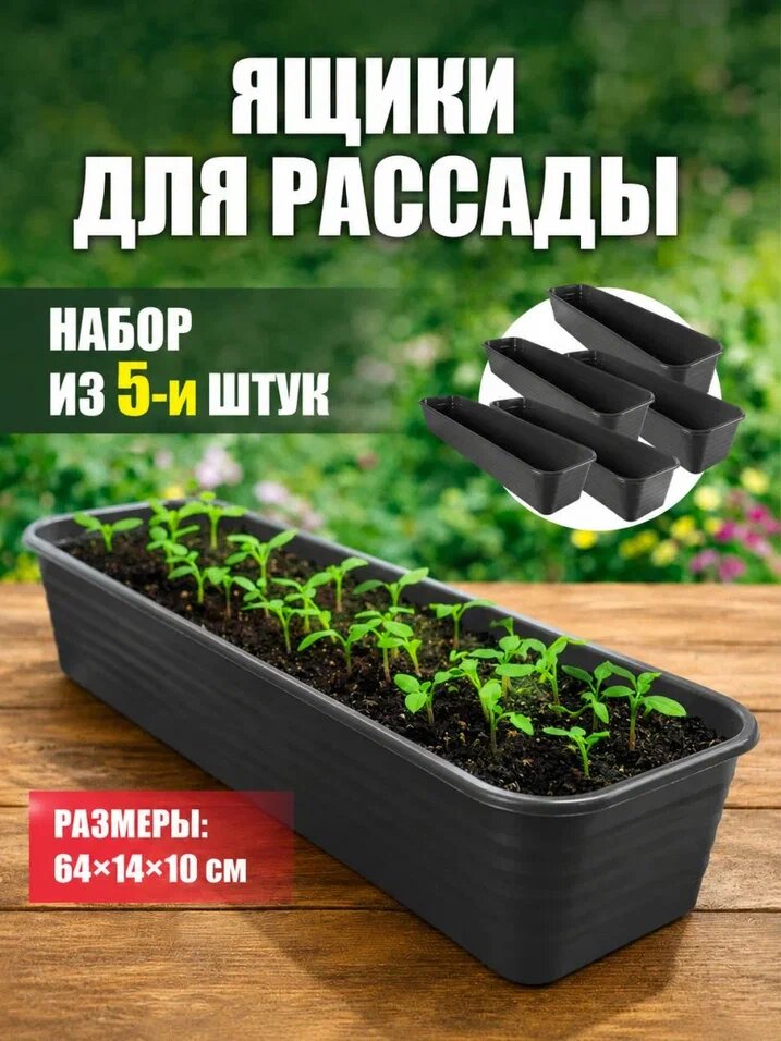 Комплект из 5-ти шт Ящик для рассады без поддона 640*140*100 графит