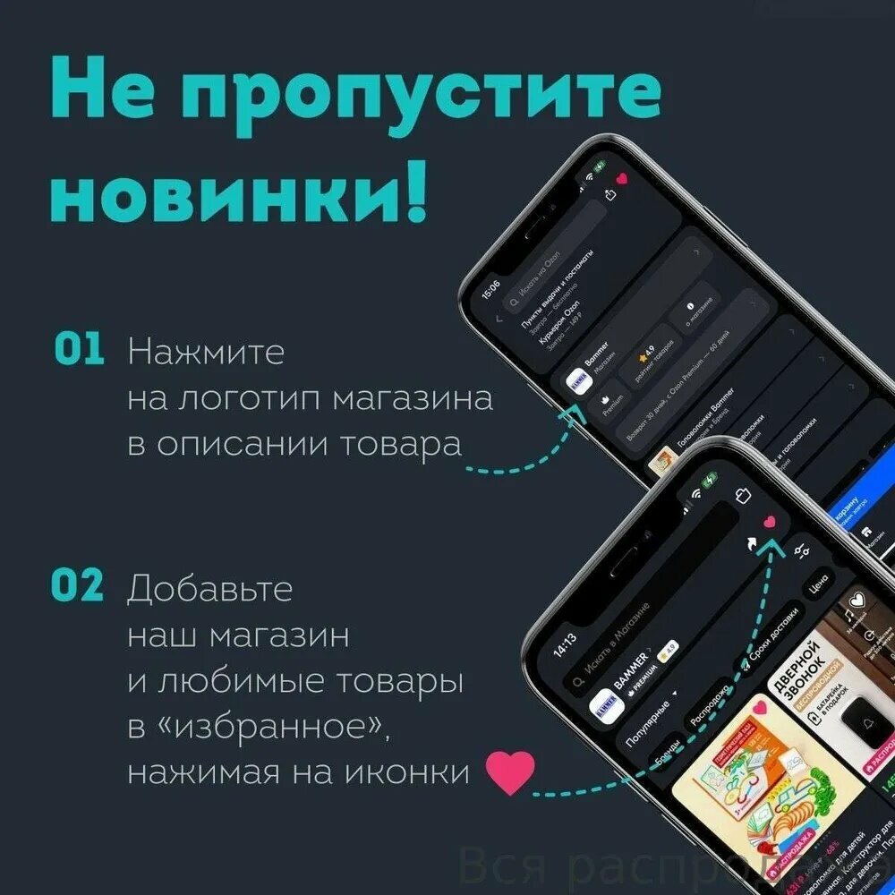 Капа, трейнер — фото 1