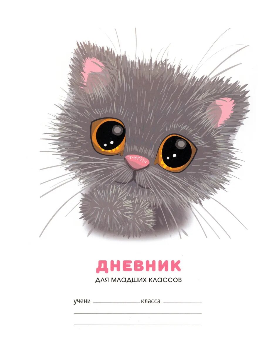 Дневник для младших классов Милый котенок, А5, 48 листов