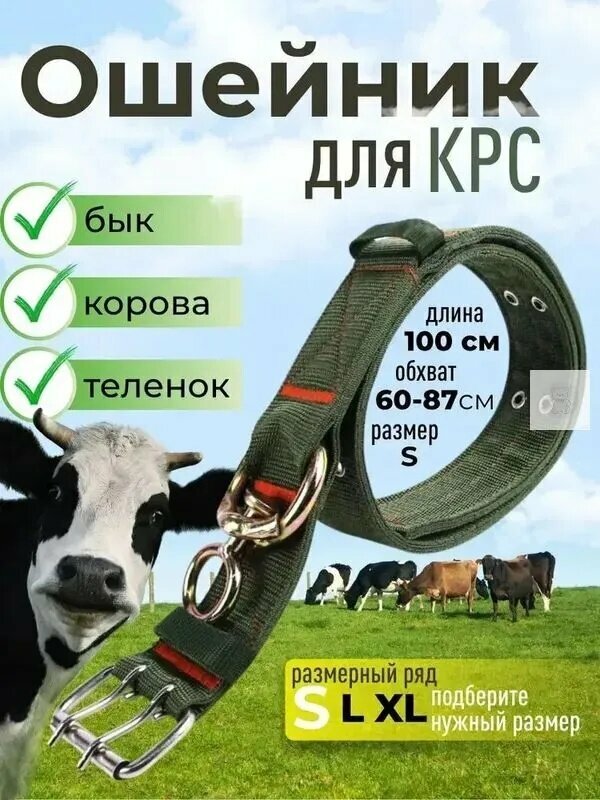 Ошейник маркировочный