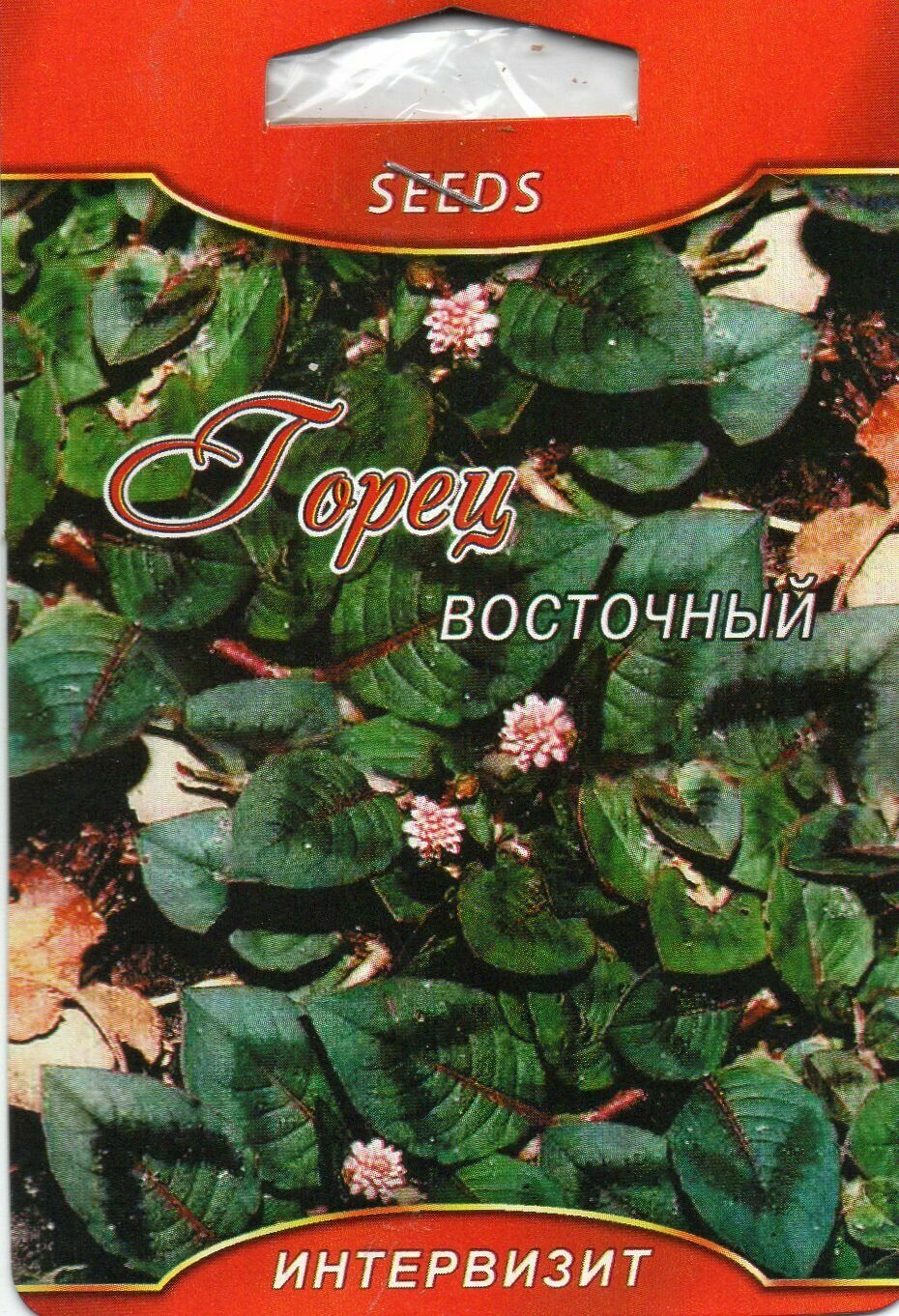 Горец семена