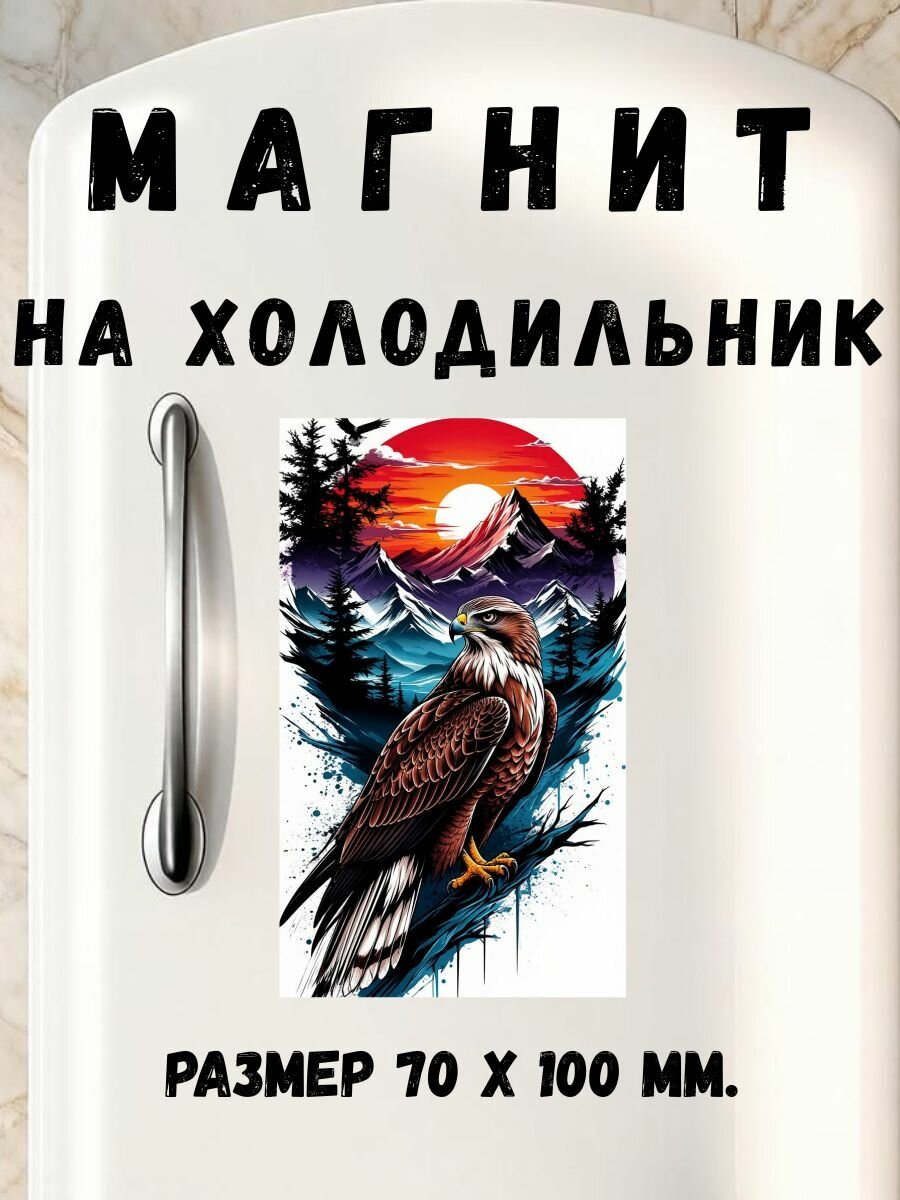 Магнит на холодильник " Гордый орёл " 70х100 мм.