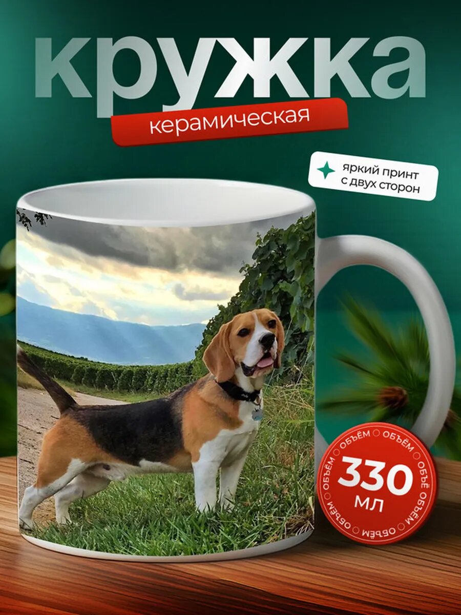 Кружка Бигль,