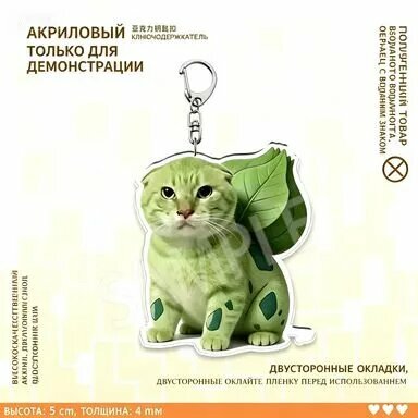 Акриловый двусторонний брелок с круглой головкой, старый и новый периферийный, с забавными выражениями лица, пара моделей маленького огненного дракона Пикачу