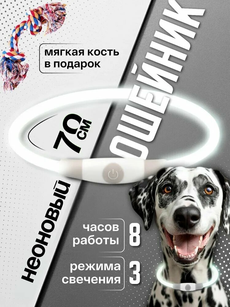 Светящийся светодиодный неоновый ошейник для собак usb