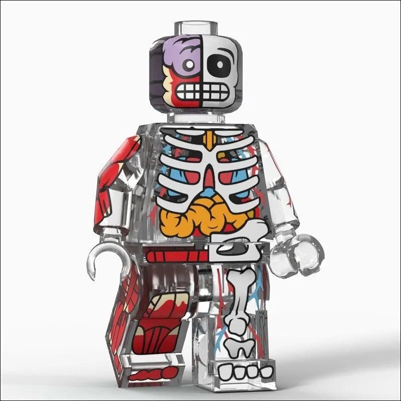 Минифигурка "Анатомия " совместим с конструкторами лего (D8005)