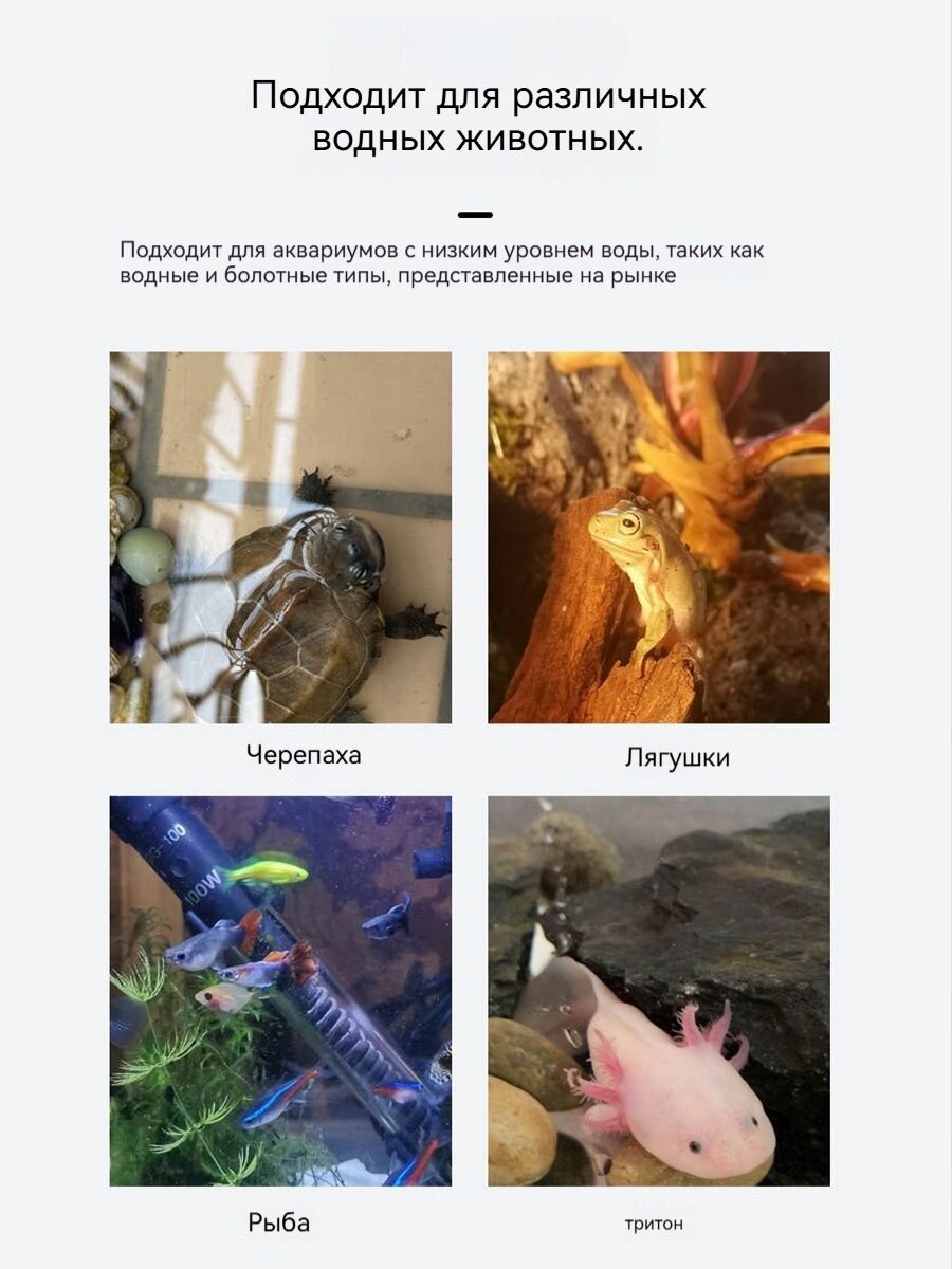 Фильтр для аквариума — фото 1