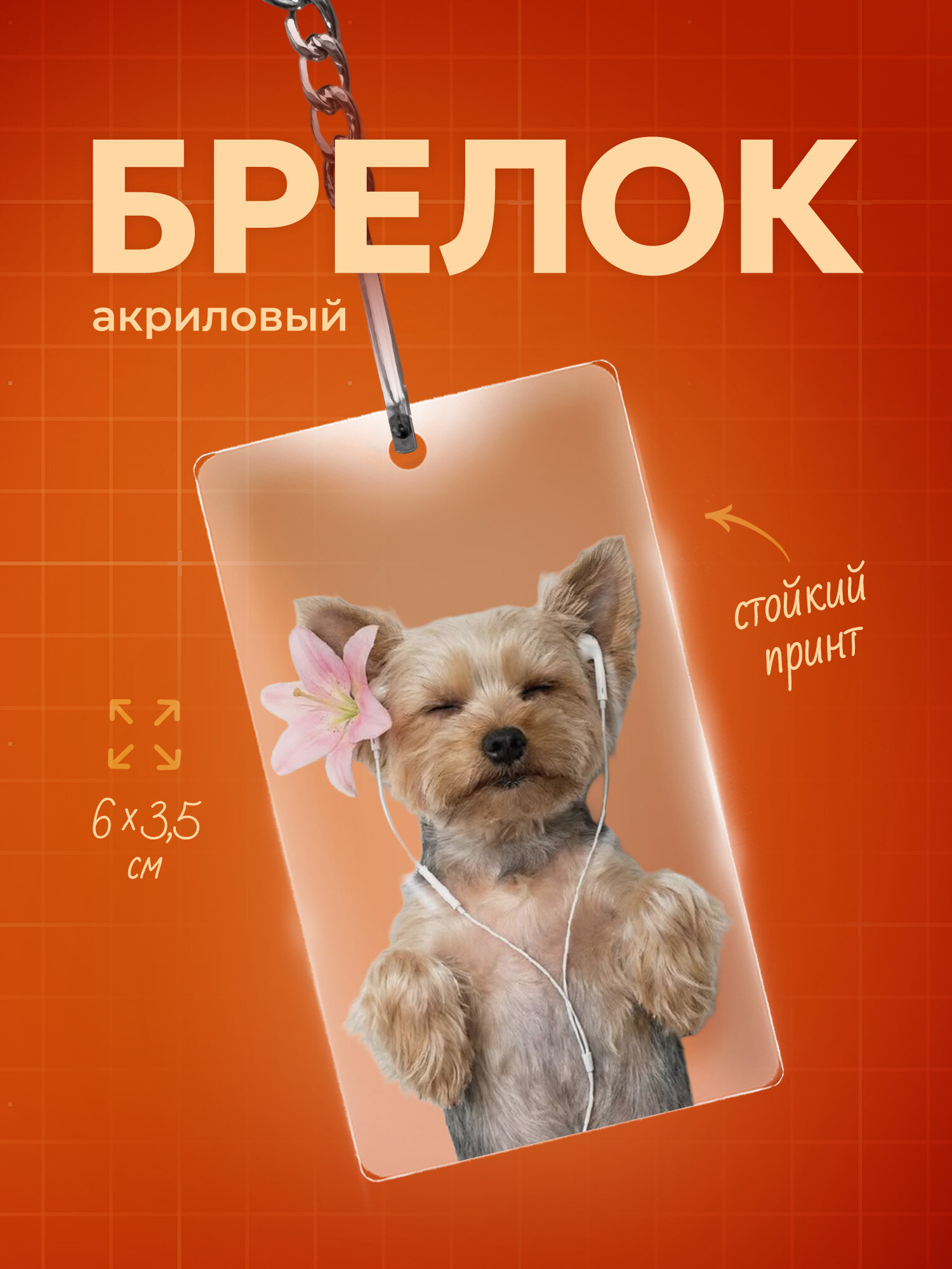 Брелок IREVIVE