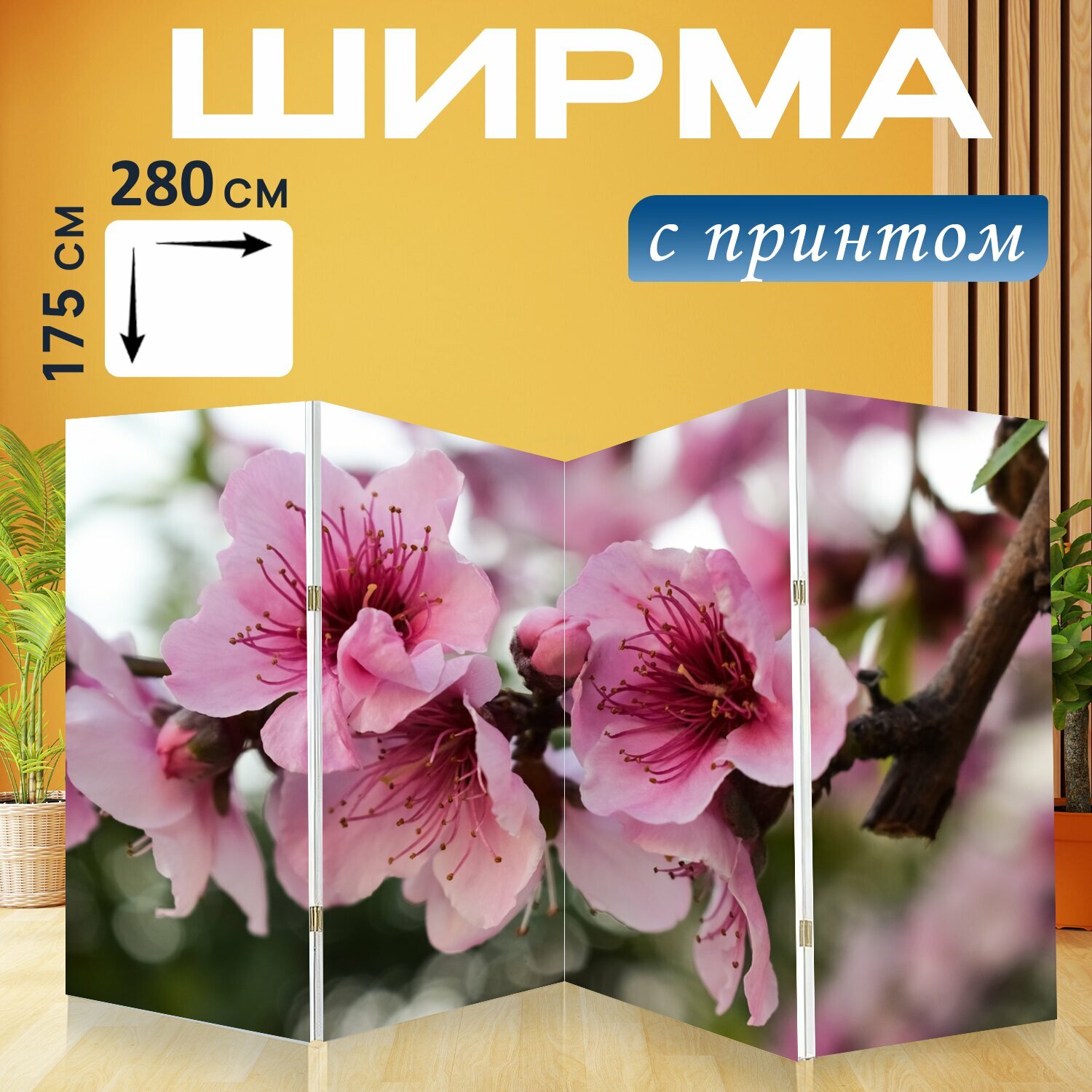 Ширма "Цветы, цвести, розовый" перегородка для зонирования комнаты с принтом 280x175 см. на холсте