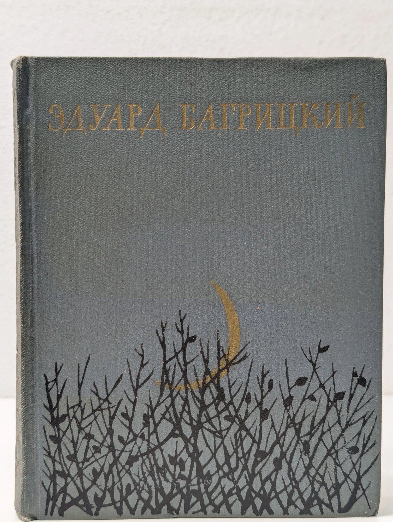 Эдуард Багрицкий. Стихи и поэмы Багрицкий Эдуард Георгиевич 1956