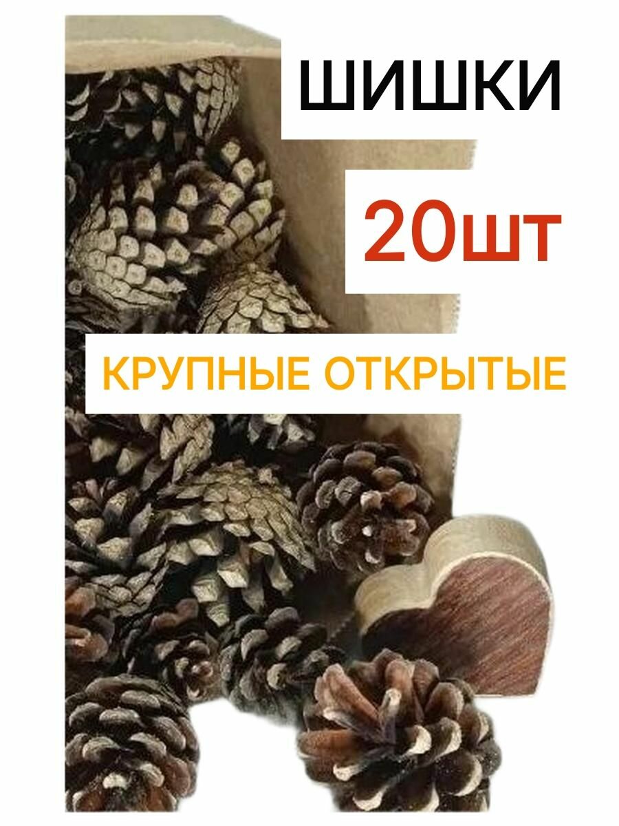 20шт! Шишки сосновые крупные открытые отборные чистые сухие для творчества поделок и украшения ёлки в Новый год