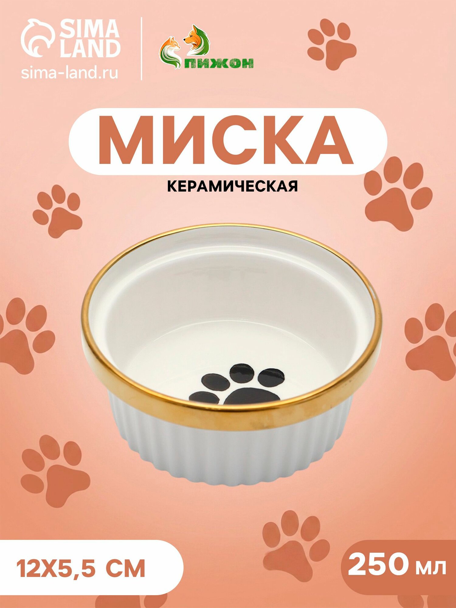 Миска керамическая для кошек и собак Роскошь, 250 мл, белая с золотистым ободком