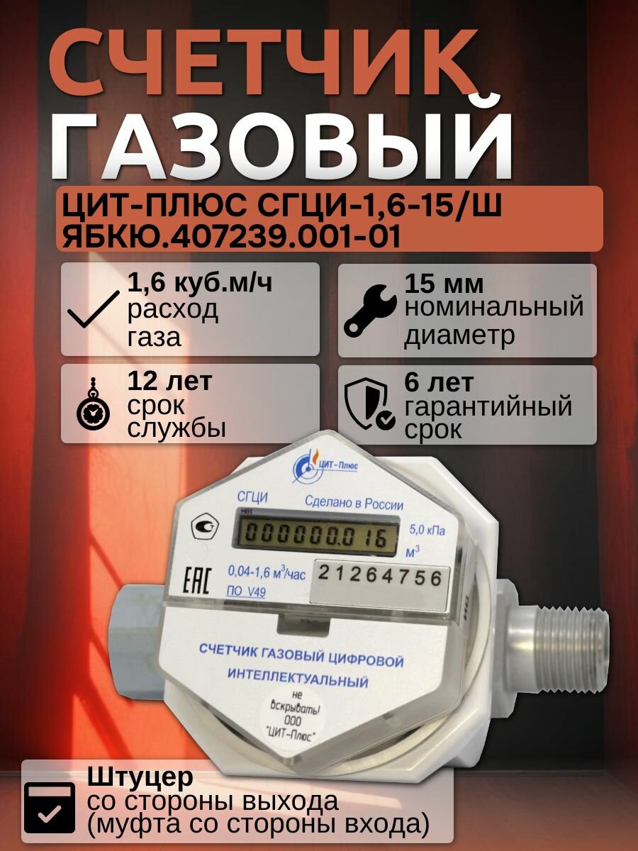 Счетчик газовый СГЦИ-1,6-15/Ш ябкю.407239.001-01 (Dn15, ГШ)