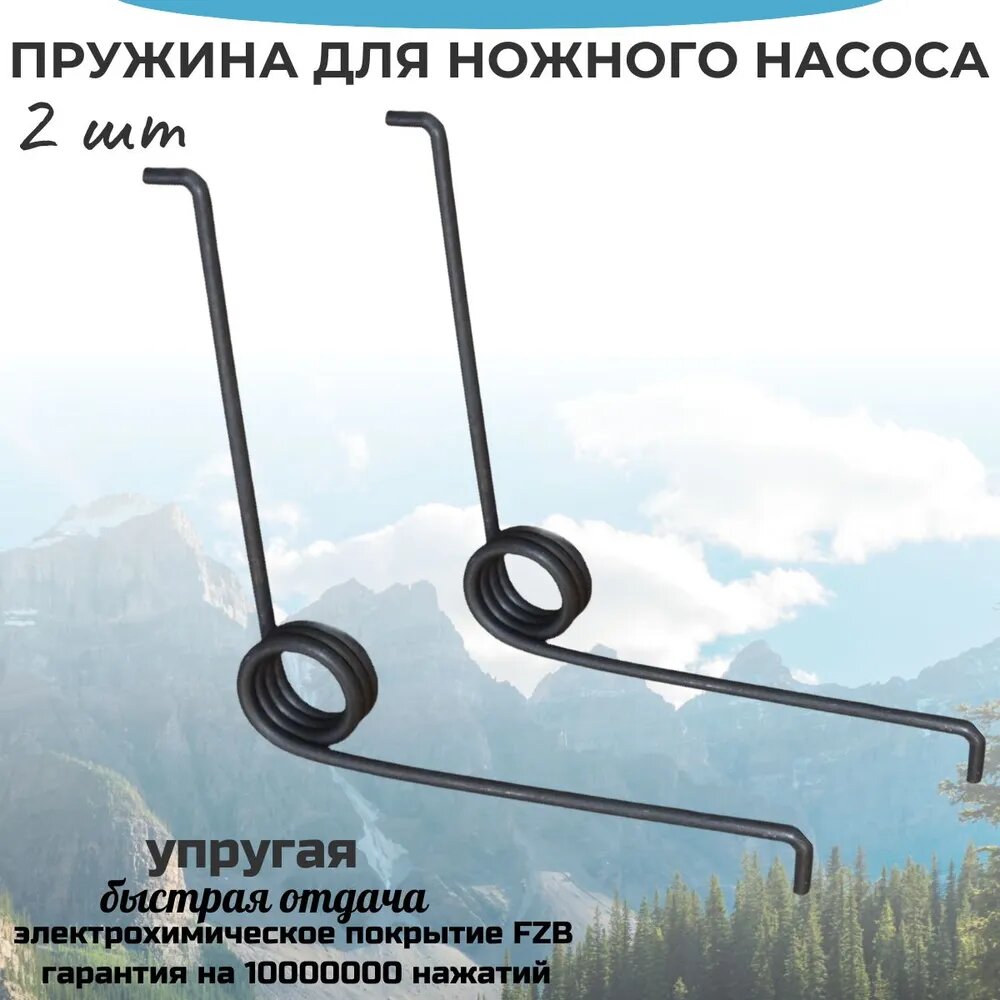 Пружина 2 штуки для насоса