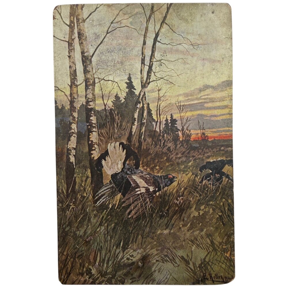 Почтовая открытка "Вечерний ток на опушке" 1900-1917 гг. Германская Империя